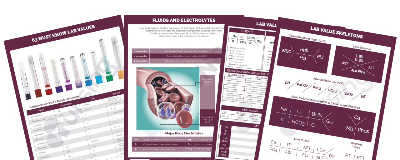NURSING.com | Lab Value NCLEX Study Pack